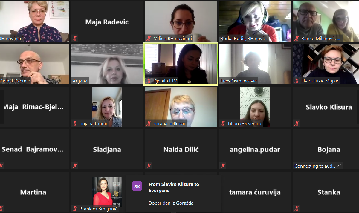 Webinar DEI i BH novinara: Mediji imaju veliki značaj u implementaciji ...